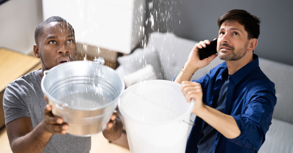 12 Common Threats to Your Roof’s Structural Integrity - Vantage Roofing ...