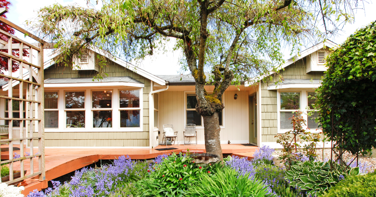 The Impact of Trees and Foliage on Your Roof - Vantage Roofing Ltd.