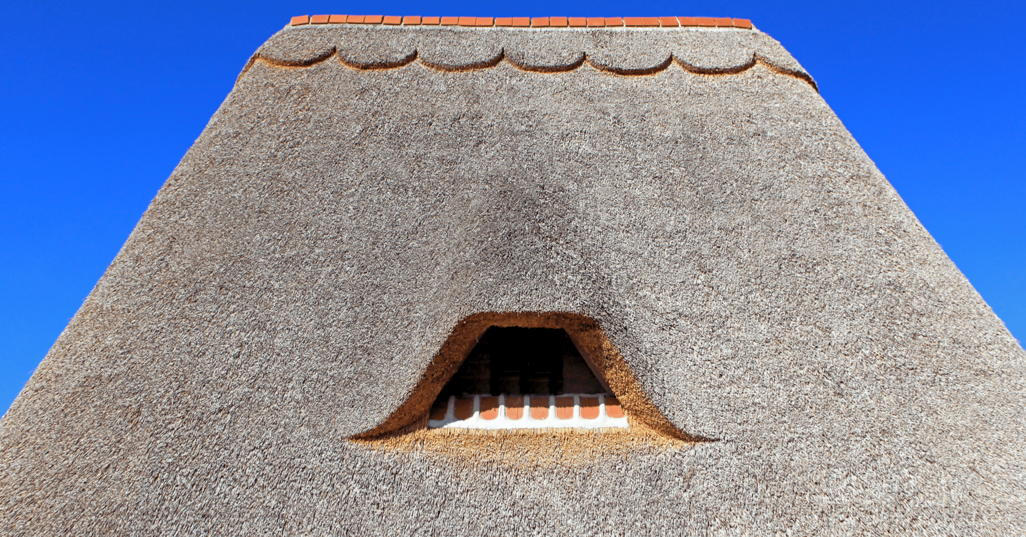 Thatched Roofs: A Timeless Classic or a Relic of the Past? - Vantage ...